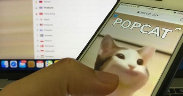 Popcat.click : le mème populaire d'un chat - Science Line